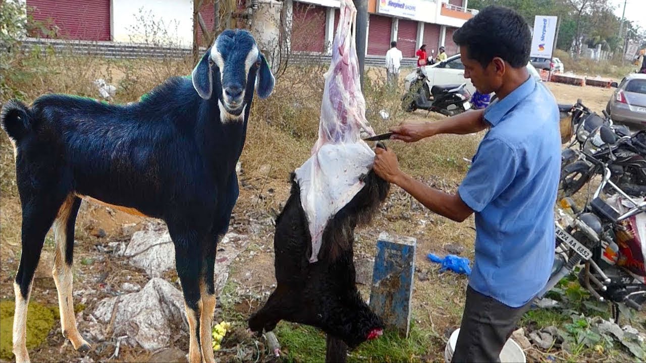 Amazing Goat Cutting By Expert Butcher | Best Mutton Cutting Skills ...