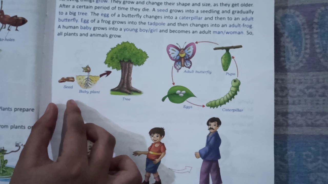 Science class 3rd "chapter 1 "CBSE BOARD "living and nonliving things ...
