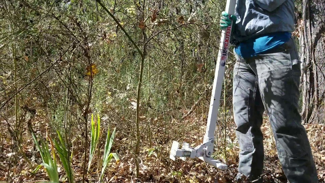 Plant Pulling Explanation and Demonstration - YouTube