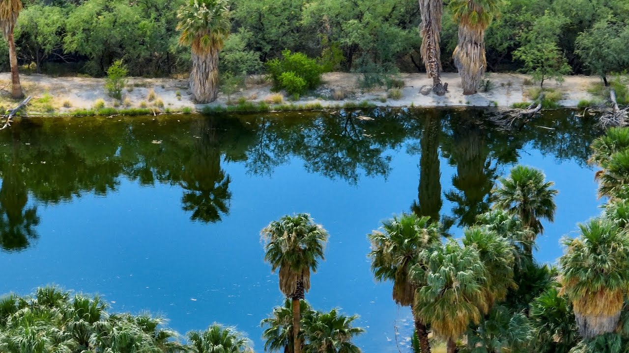 Agua Caliente Park Tucson AZ 4K Video 2022 - YouTube