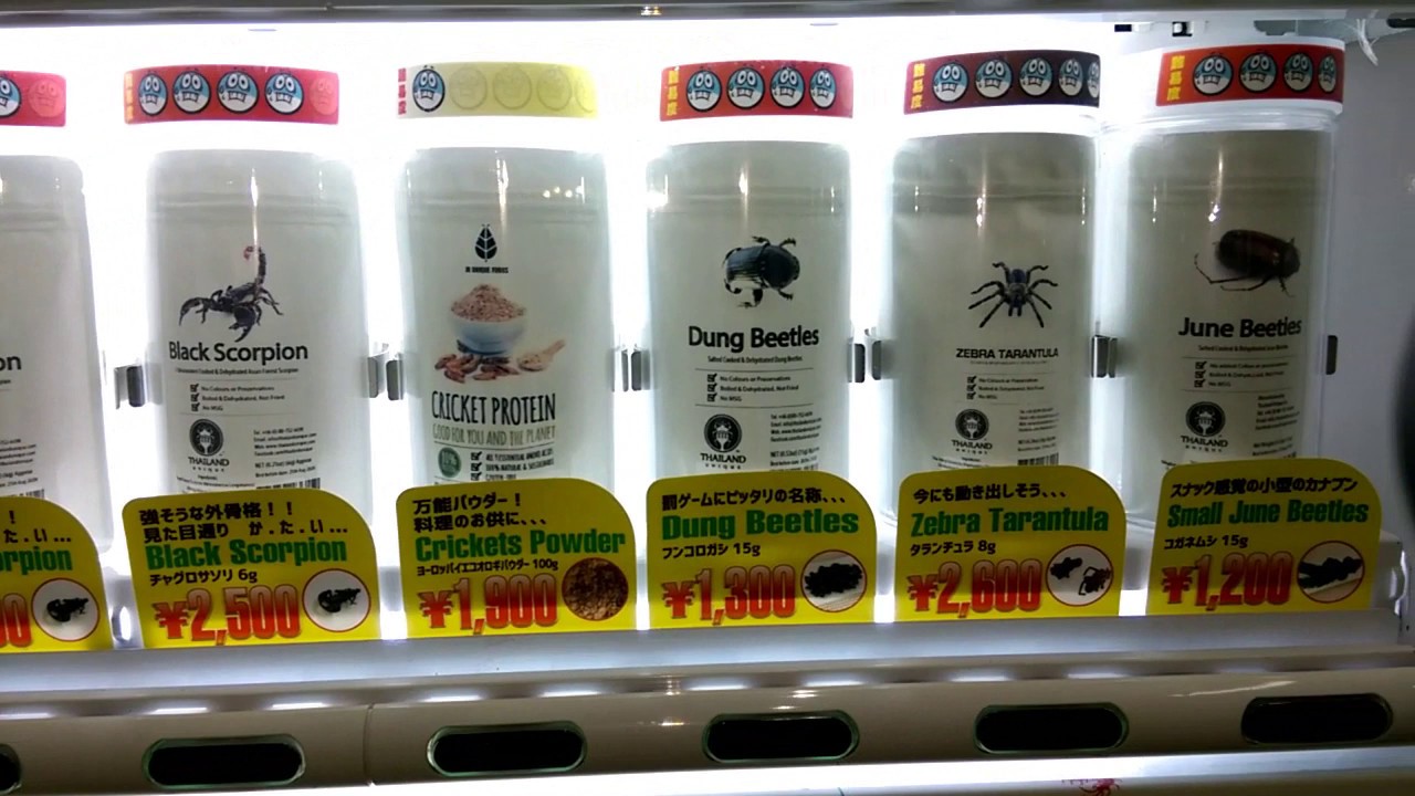 vending machine, edible insects - YouTube
