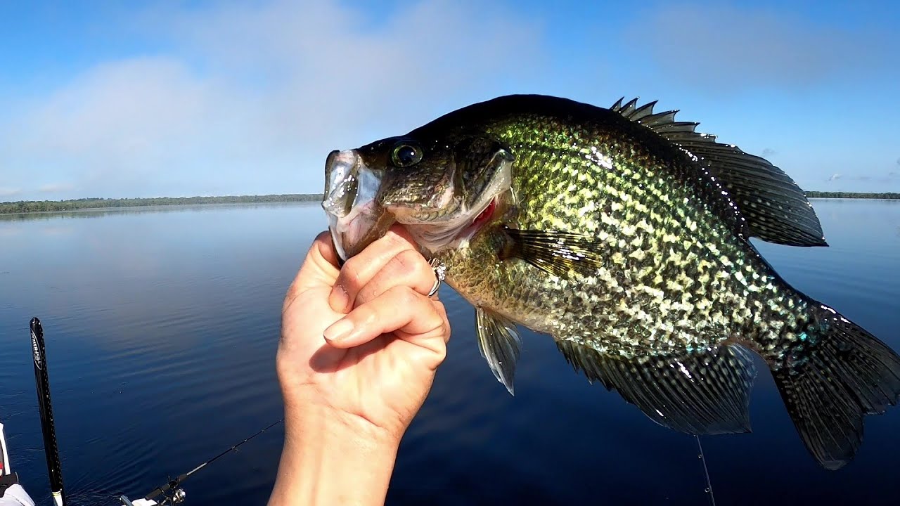 Filipina Croppie Fishing in Florida - YouTube