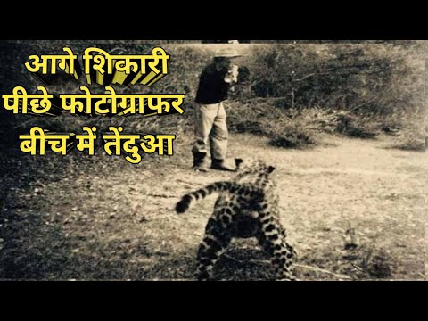 आगे शिकारी पीछे फोटोग्राफर बीच में तेंदुआ । Rare Picture Of Donald ...