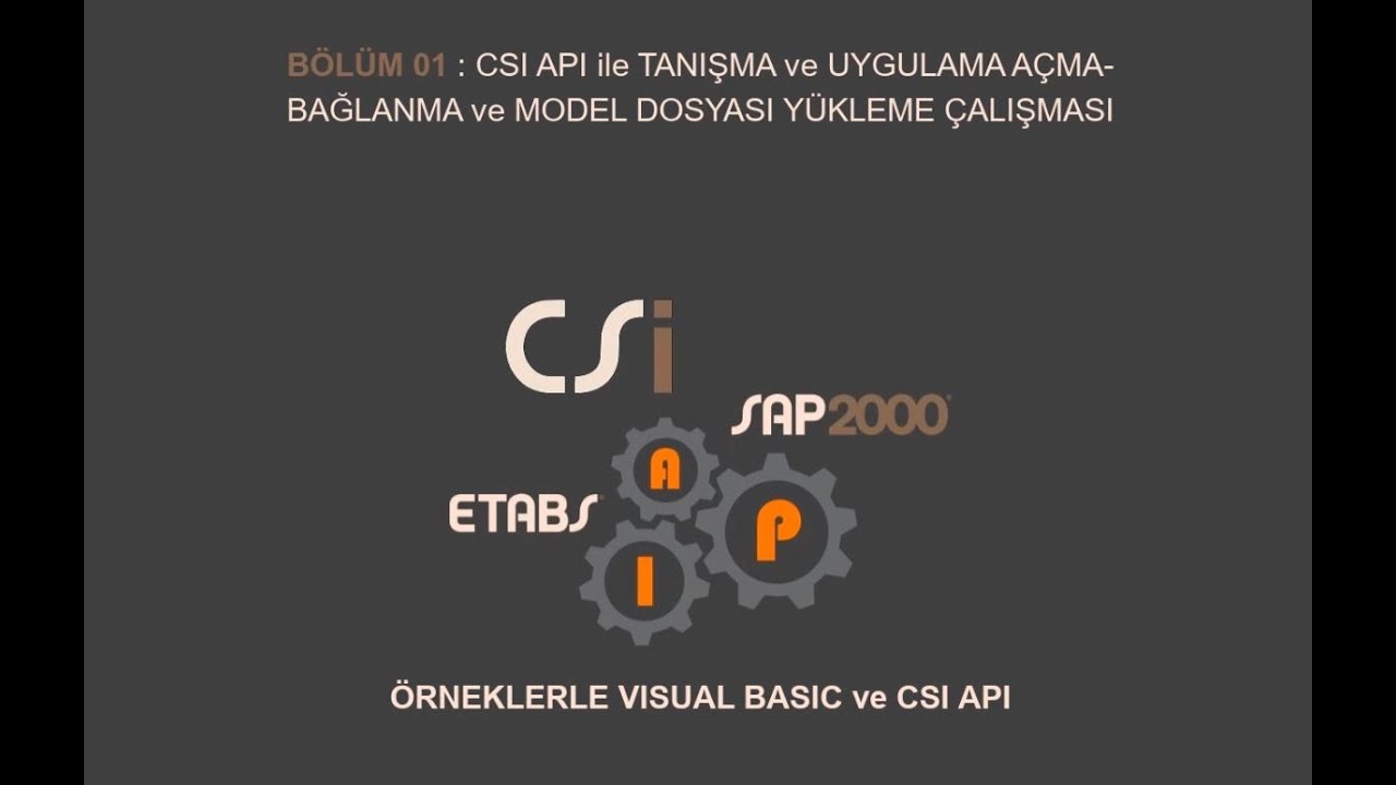 Ön İzleme: CSI API ile Tanışma ve Programa Bağlantı & Model Dosyası ...