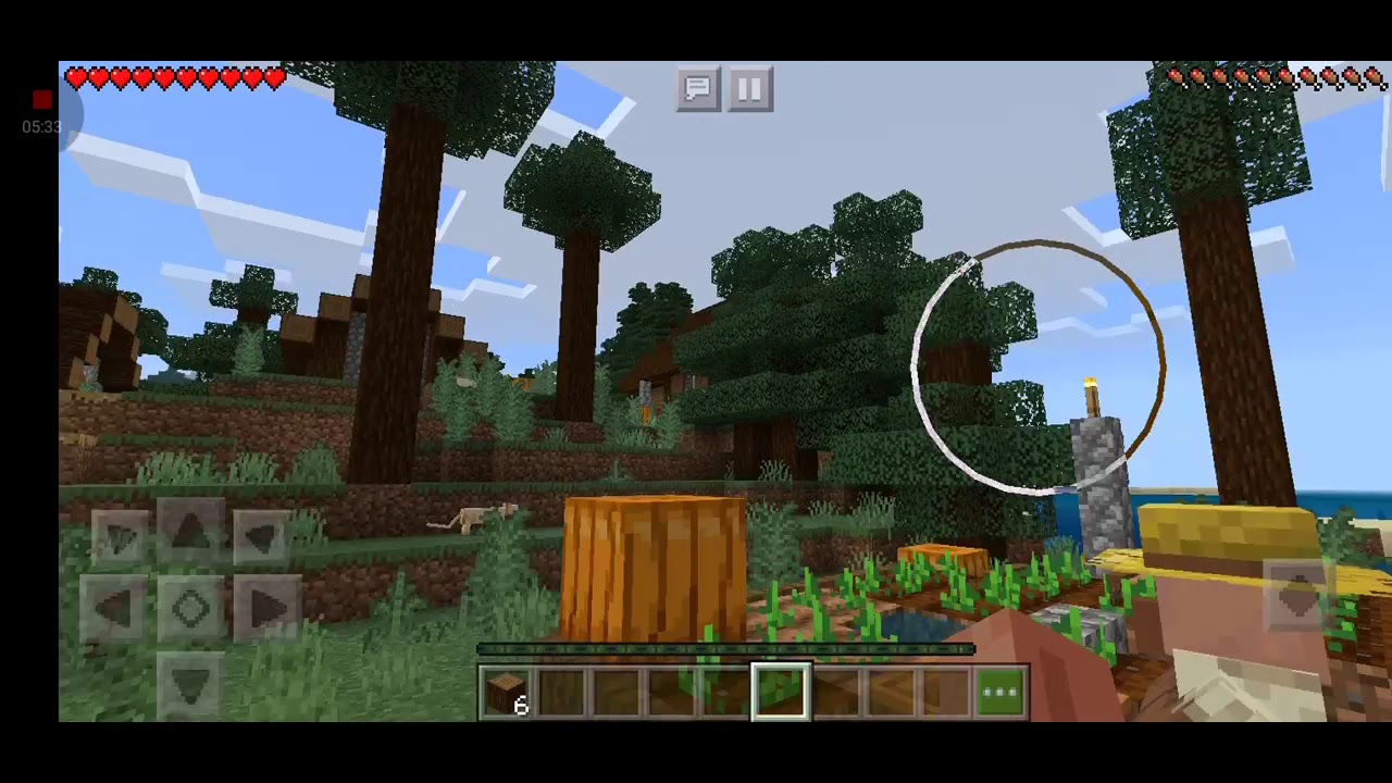 1 day in minecraft - YouTube