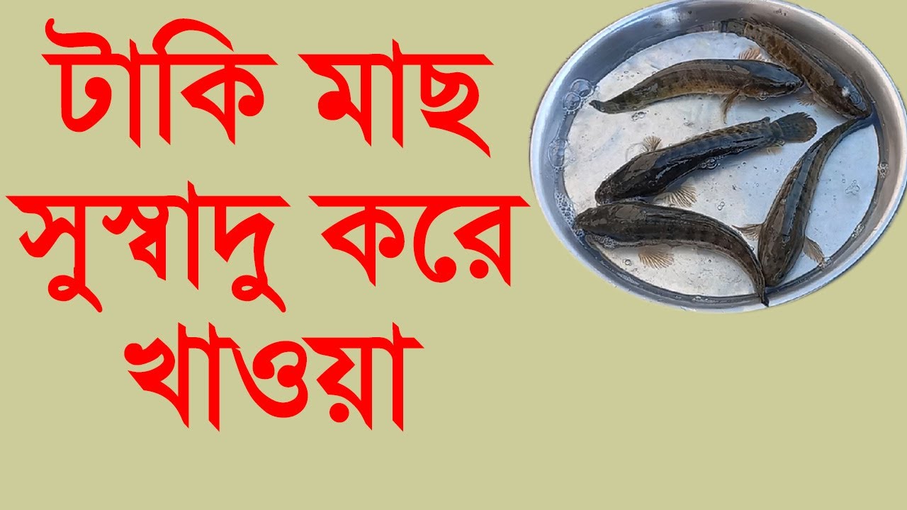 Easy Recipe for Taki Fish Bhorta | Taki Macher Bhorta | টাকি মাছ ভর্তা ...