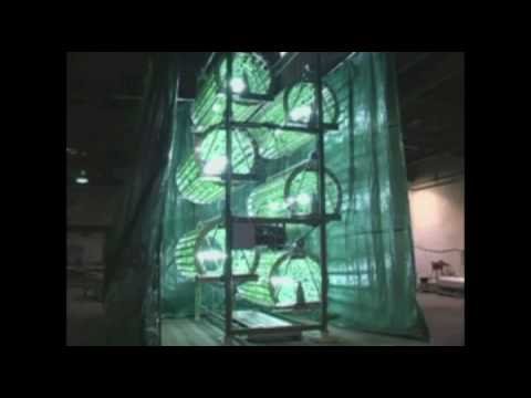 Omega Garden Carousel Short Clip - YouTube
