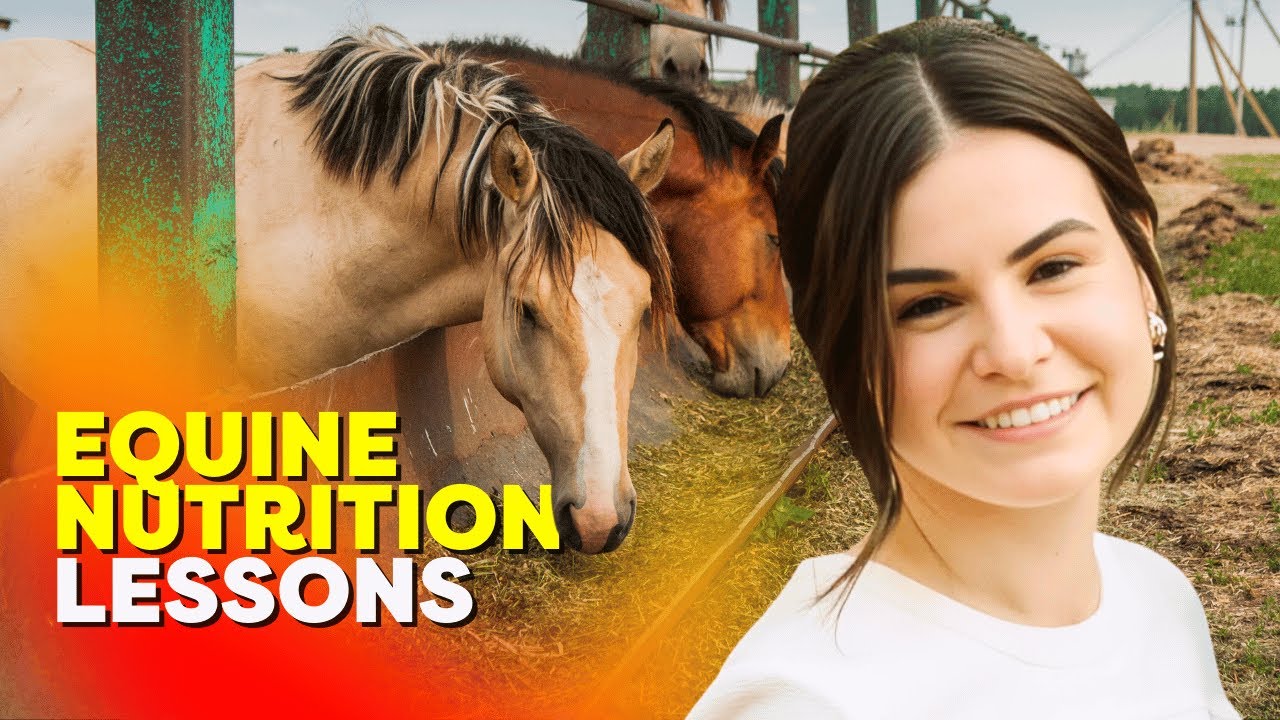 What’s missing in pet research? - Dr. Alex Rankovic - YouTube