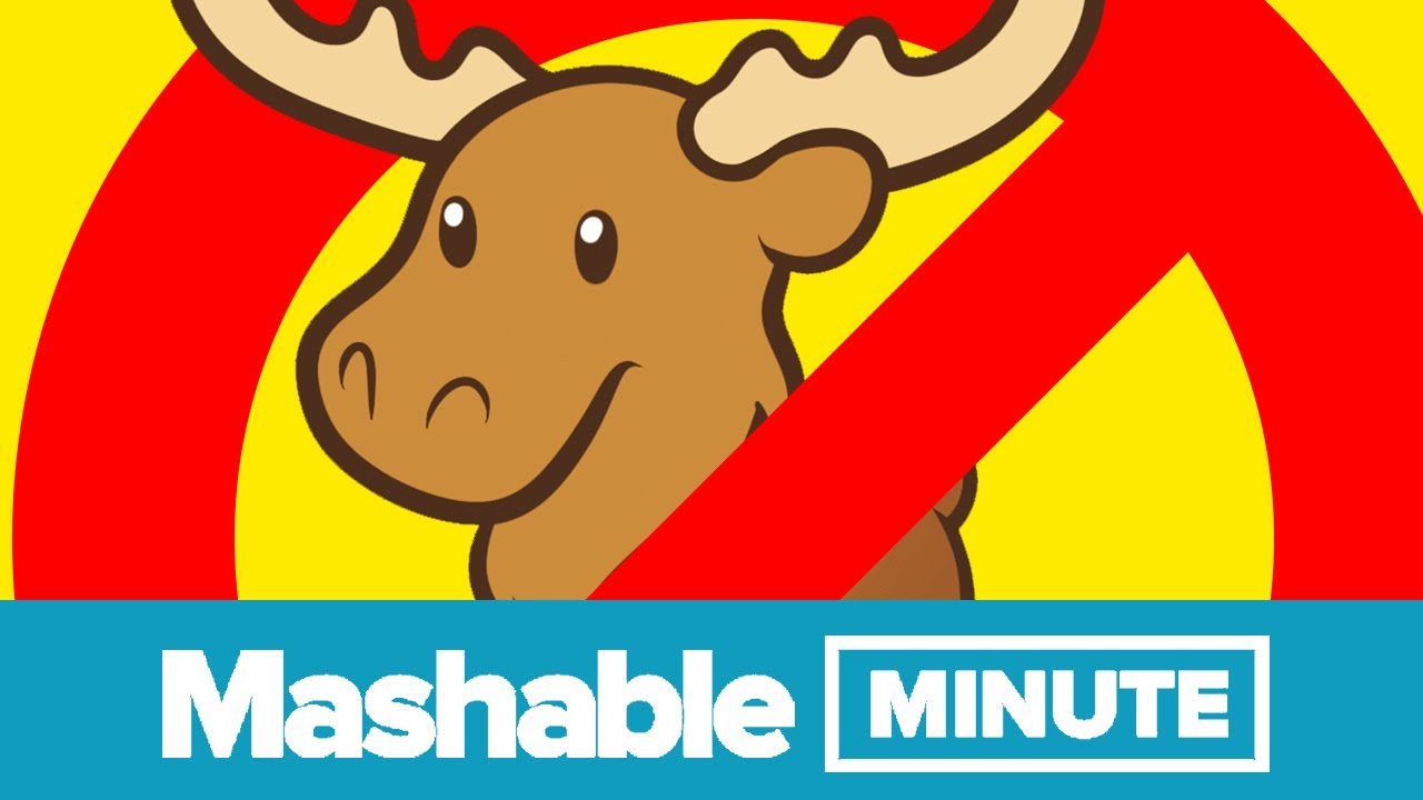 Don't Bring Home a Moose | Mashable Minute | With Elliott Morgan - YouTube