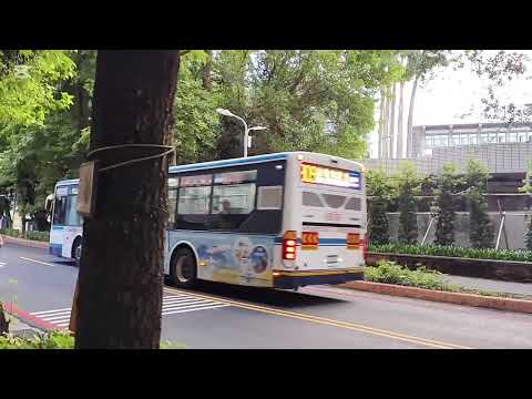 NEW TAIPEI 🇹🇼 TRAVEL #viralvideo #viral #vlog #travel 