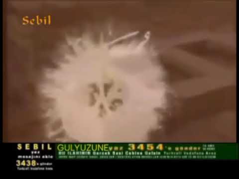 Abdurrahman Önül - Gül Yüzüne (Sebil Tv İstek)