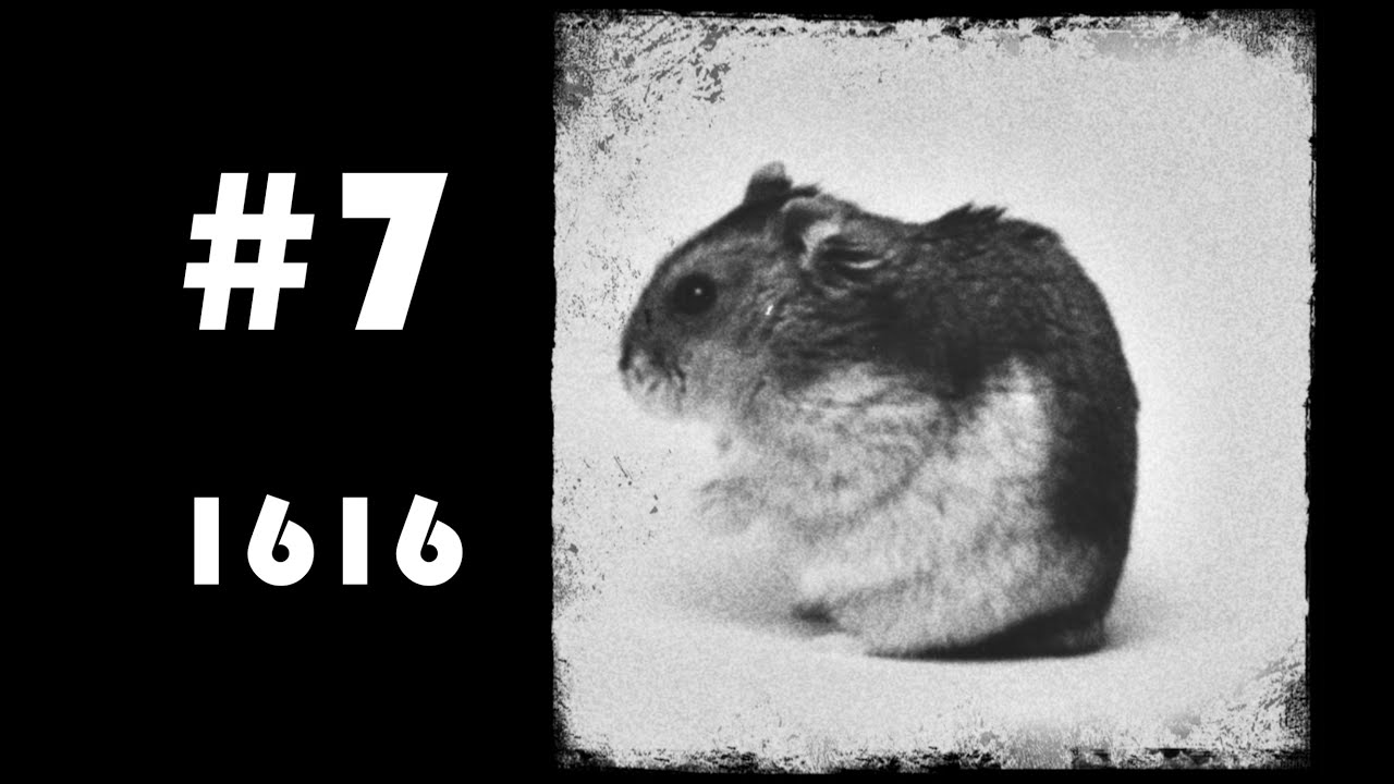 SCP全新全异：无情铁嘴（SCP-1616） - YouTube