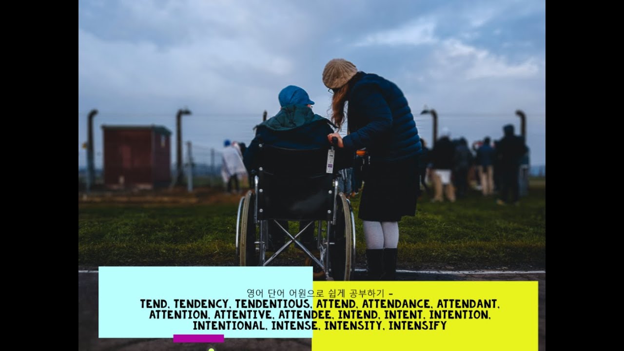 영어 단어 어원으로 쉽게 공부하기- tend, tendency, attend, attention, intend, intense ...