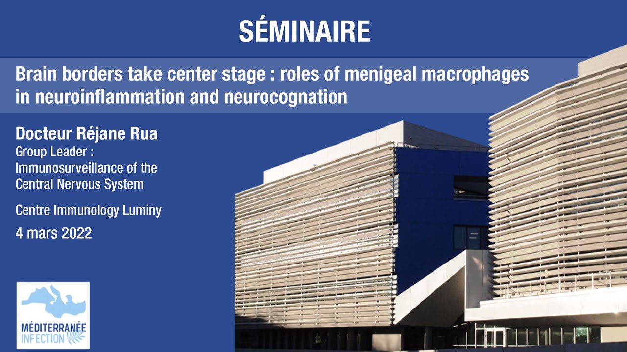 Séminaire - Dr. Réjane Rua - YouTube