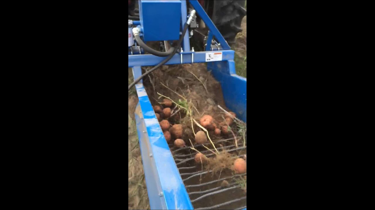 US small farm potato digger - YouTube