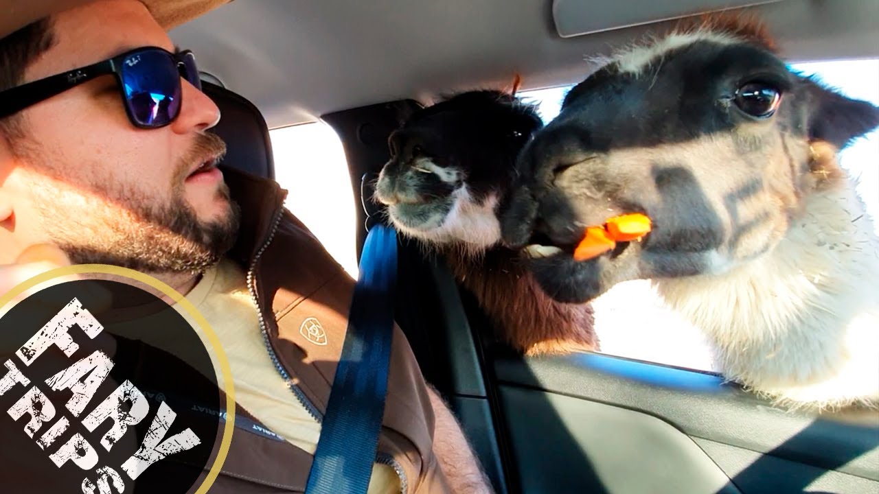 La nueva forma de visitar Xenpal! | Parque Recreativo y Ecológico - YouTube