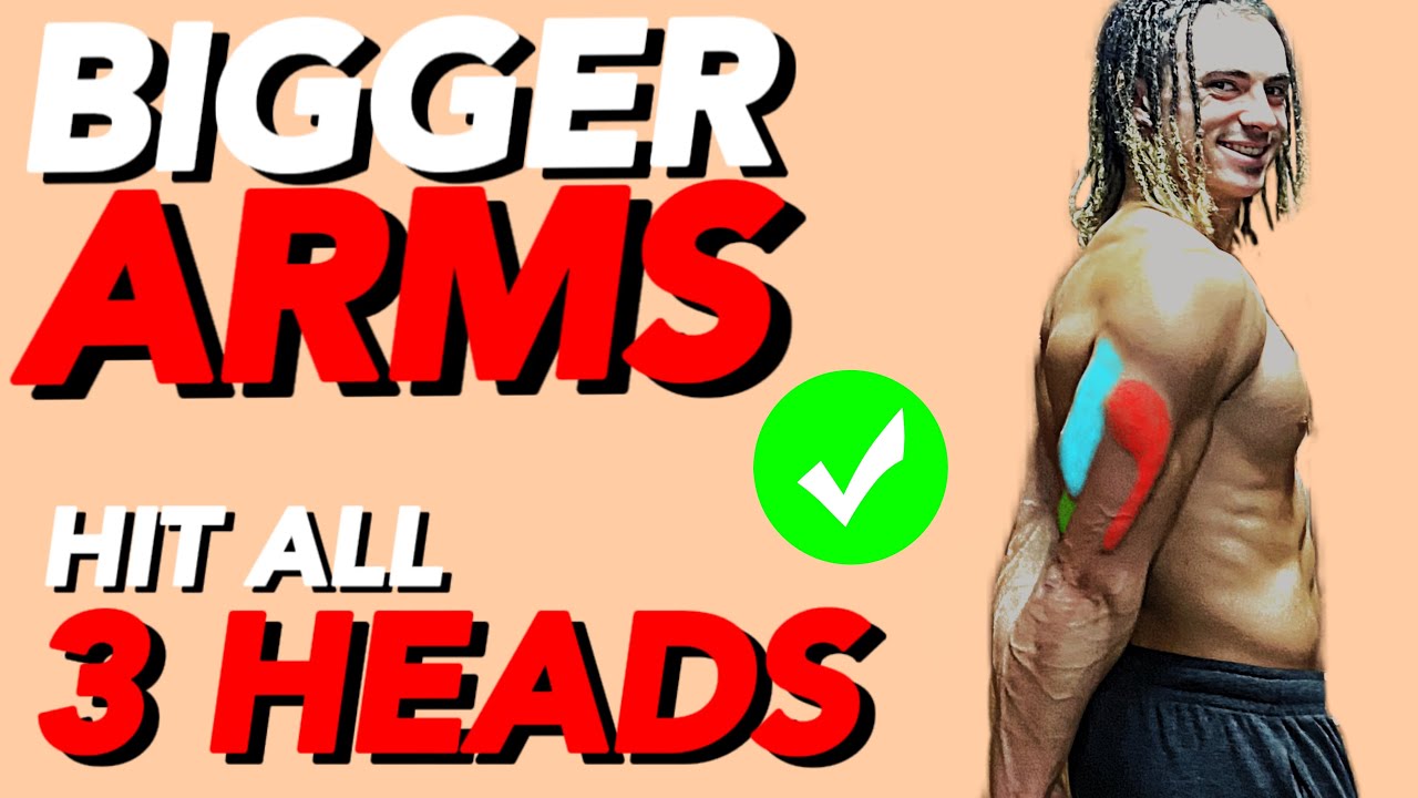BUILD YOUR ARMS | Hit all 3 heads 💪🏼 - YouTube