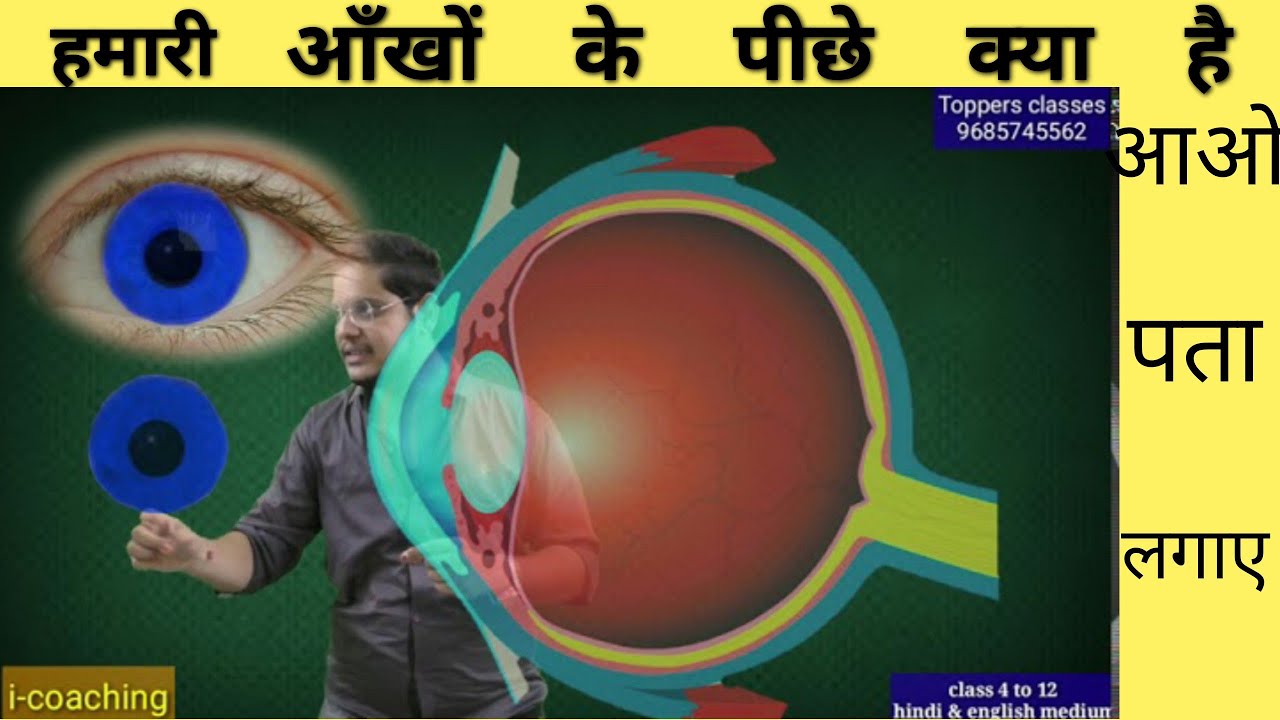 #eye, #Science, #education, #eye_Animation_video, Structure of human ...