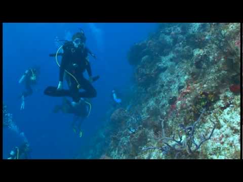 Santa Rosa Wall - Cozumel 2010 - YouTube
