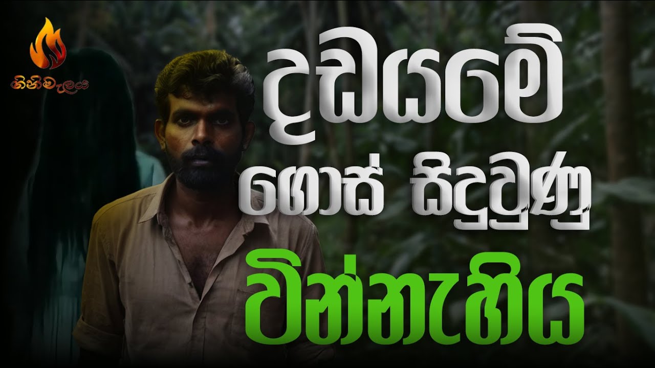 දඩයමේ ගොස් සිදුවුණු වින්නැහිය | GINIMALAYA - YouTube