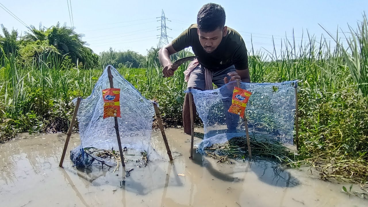 Fishing video || local fisherman catch a big fish using the net|best ...