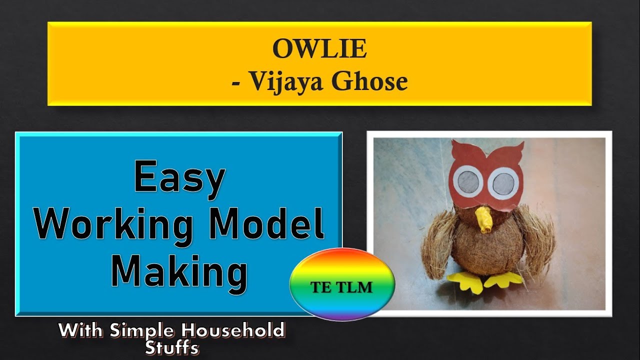 Owlie 6th std Supplementary Working Model| Owlie tlm| English project ...
