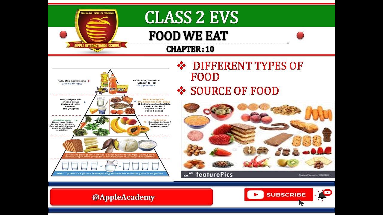 CLASS_2 EVS CH 10 FOOD WE EAT - YouTube