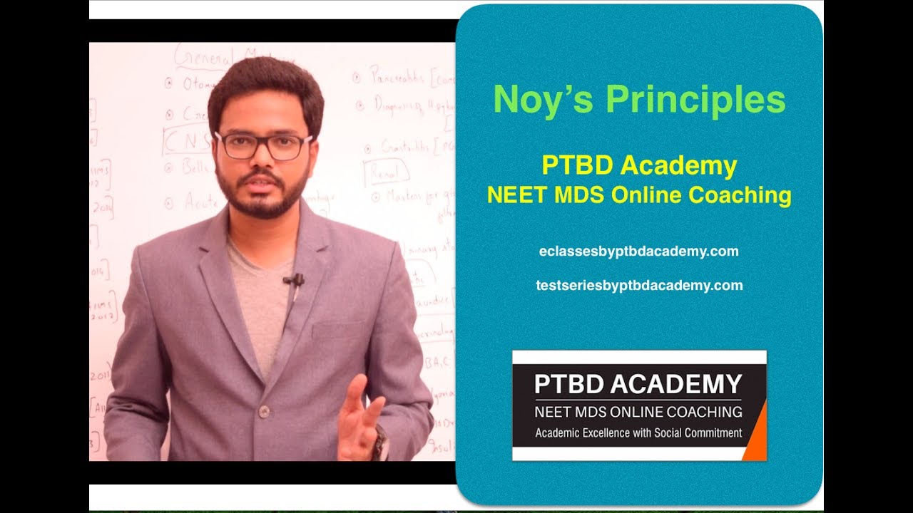 Noy's Principles - YouTube