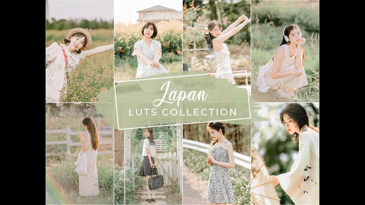 14 Japan Video LUTs | Japan LUTs | Instagram LUTs | Influencer LUTs ...