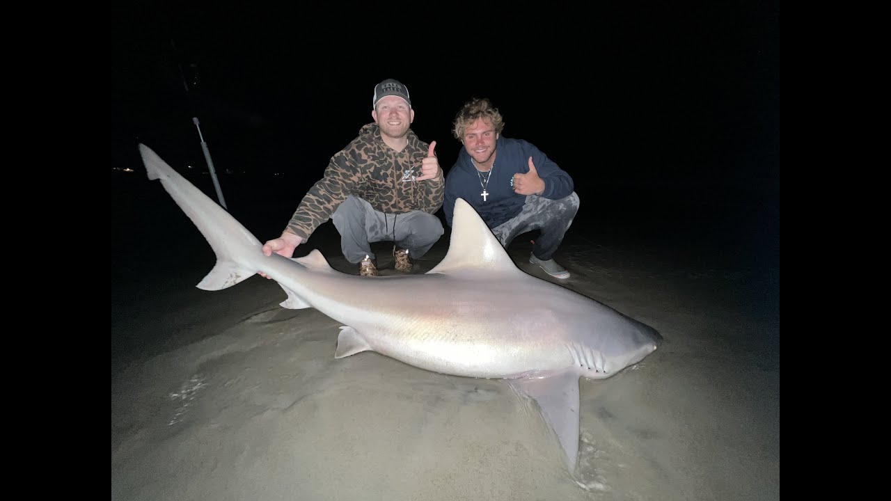Beach Shark Fishing - YouTube