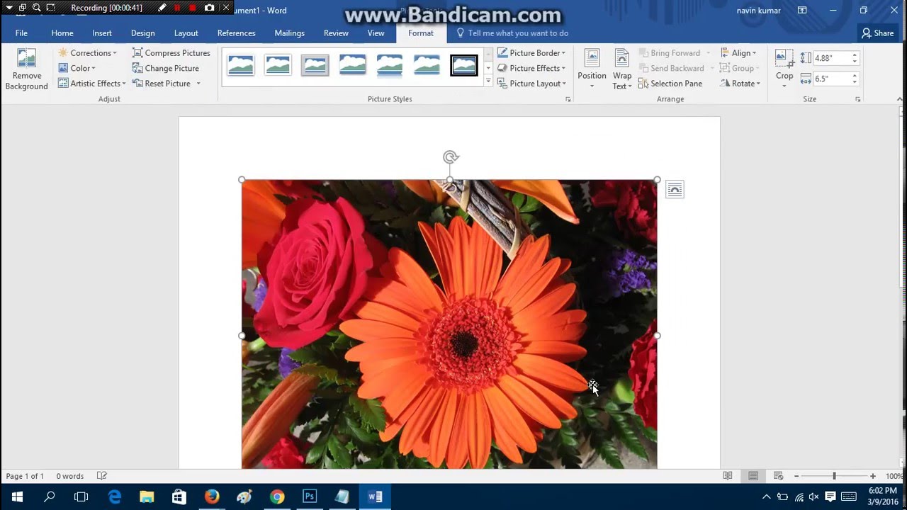How to Add Pictures to Office Document From Bing - YouTube