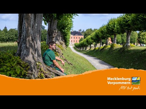 Schloss Bothmer: Die rätselhaftesten Linden Deutschlands wachsen hier | Festonallee
