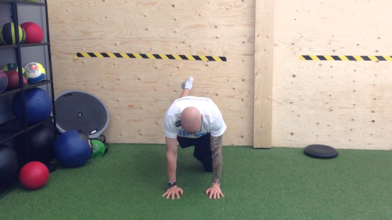 Pakaran aktivointi – Fitness ja Terveellinen syöminen