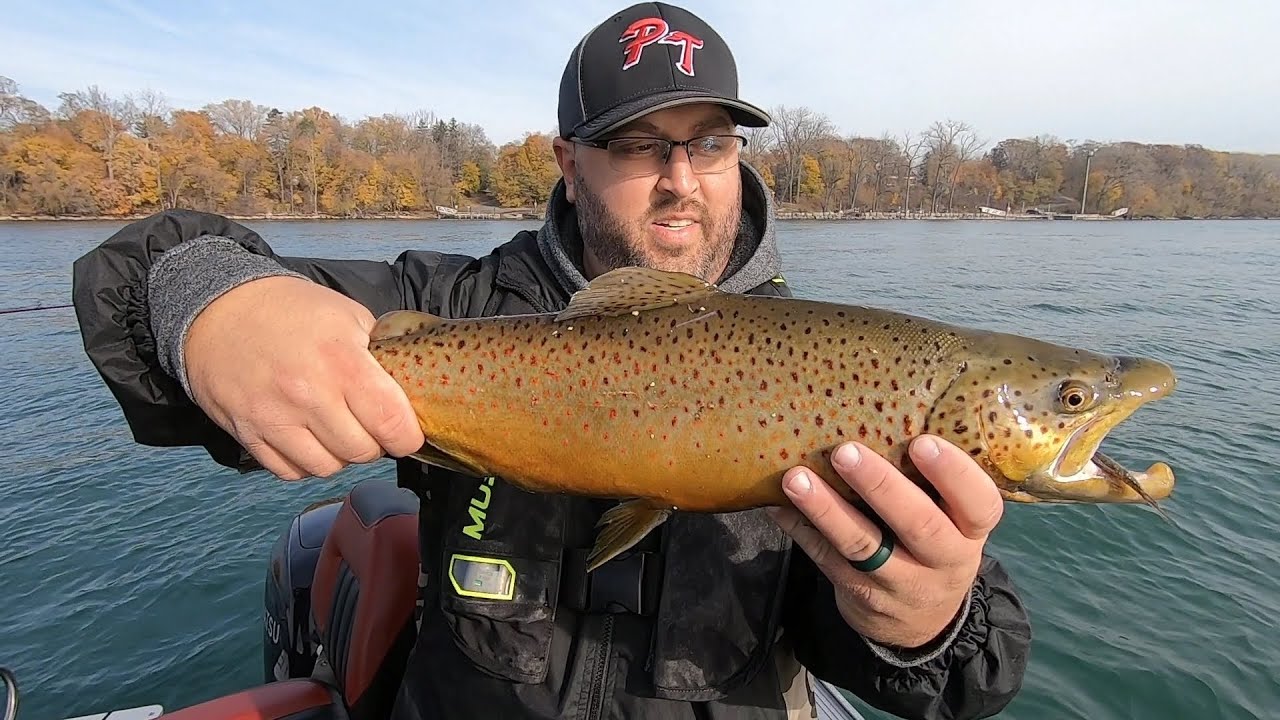 Niagara River Lakers & Brown Trout Fishing Day 3 2023 - YouTube