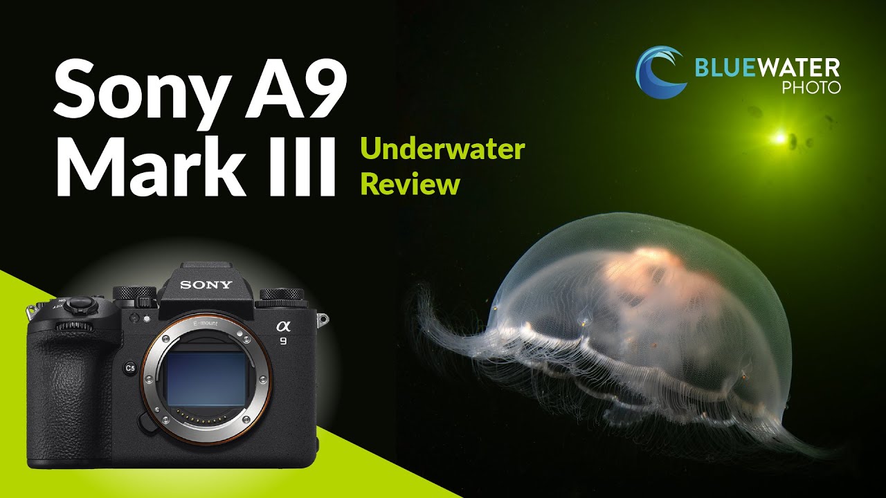 Sony a9 III Underwater Review - The World's FIRST Global Shutter! - YouTube