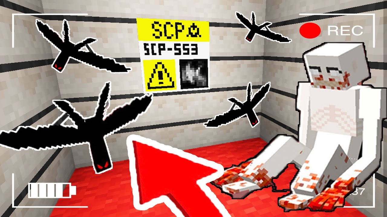 NE JAMAIS TOUCHER SCP-553 SUR MINECRAFT SURVIE - YouTube
