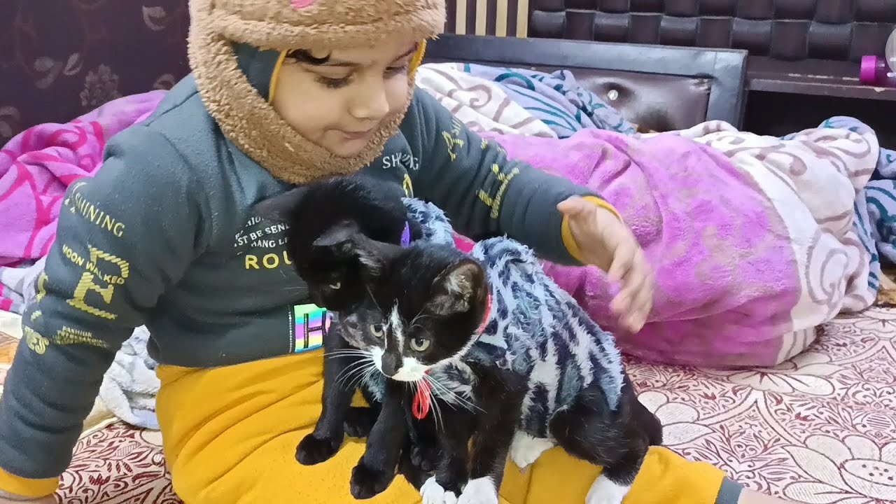 little cat funny video with little boy meow meow - YouTube