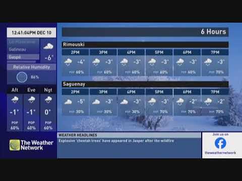 The Weather Network Local Forecast, National 12/10/2024 - YouTube
