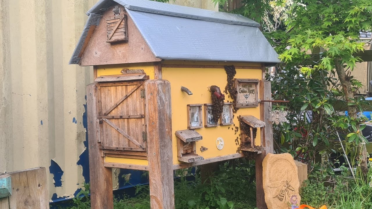 Natural Beekeeping Dr Leo's Layens Hive observation beebarn, Taranov ...