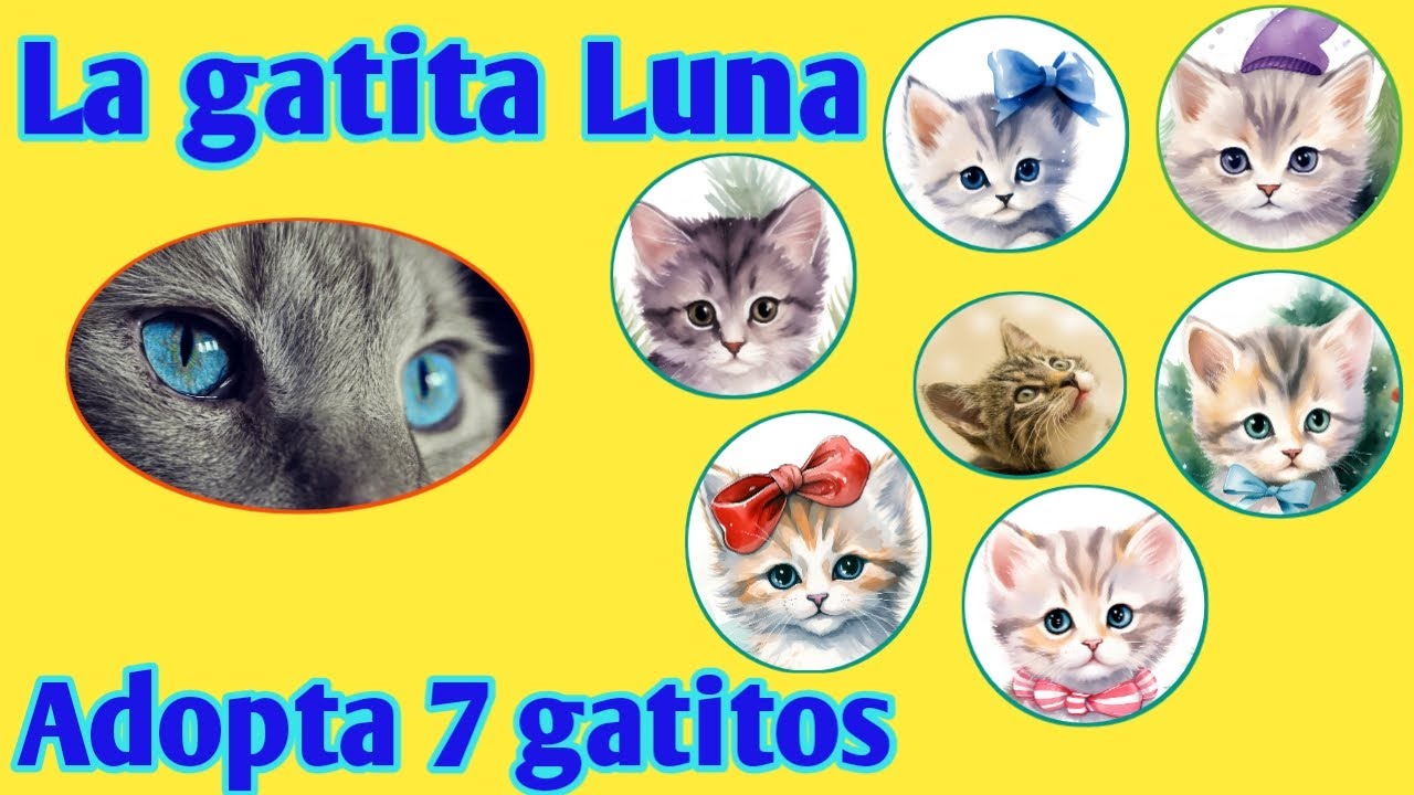 La gatita Luna adopta 7 gatitos 😻 | cuentos infantiles | cuentos cortos ...