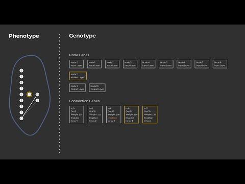 NEAT Algorithm Visually Explained - YouTube