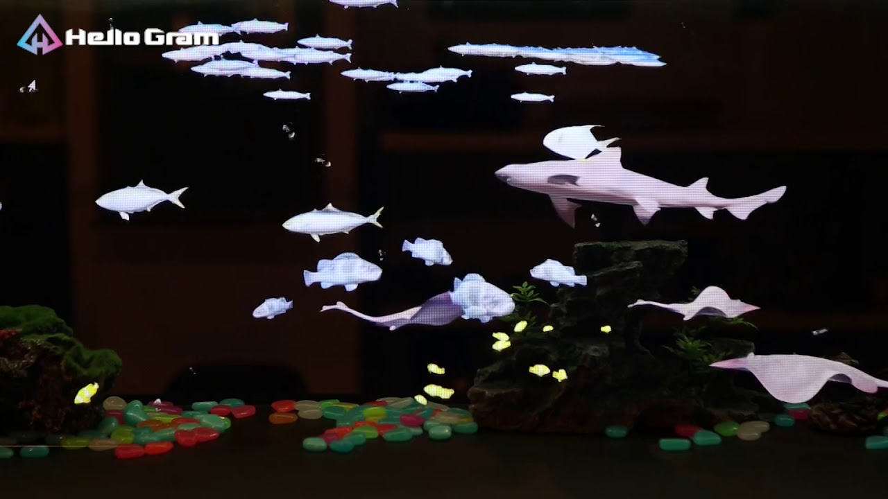 Hologram Aquarium 물고기를 만지고 먹이를 줄 수 있는 초대형 홀로그램 수족관 - YouTube