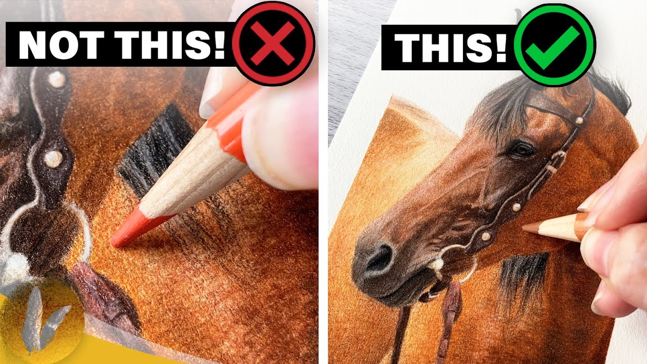 Animal Drawings In Color Pencil