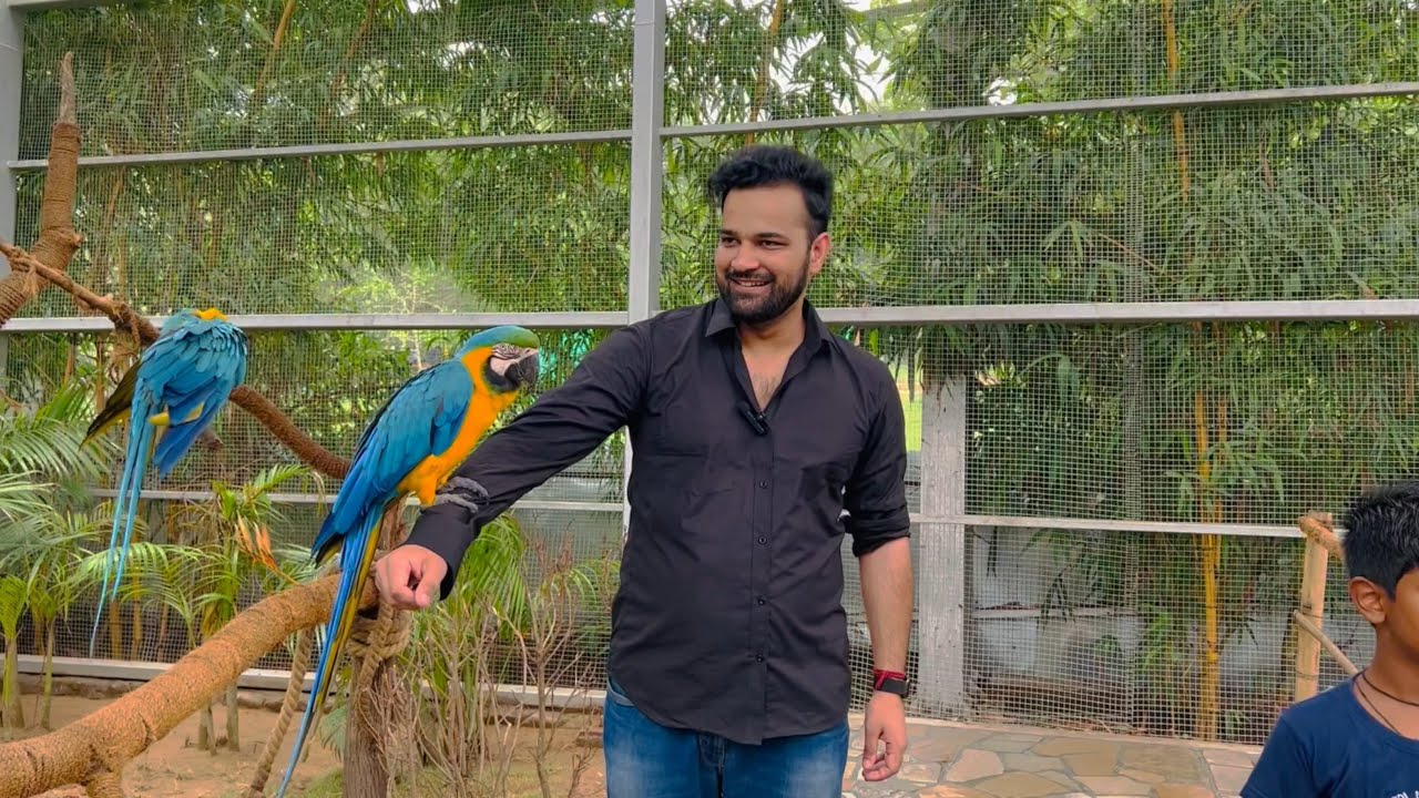 Chandigarh's Bird Park || Beautiful Parrots || World's Different kind ...