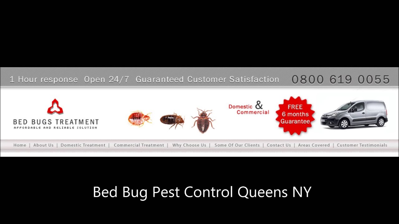 Bed Bug Pest Contol Exterminator Queens NY 347 229 2788 - YouTube