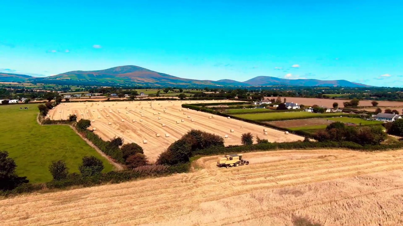 Barley Harvest 2019 - Wexford, Ireland - YouTube