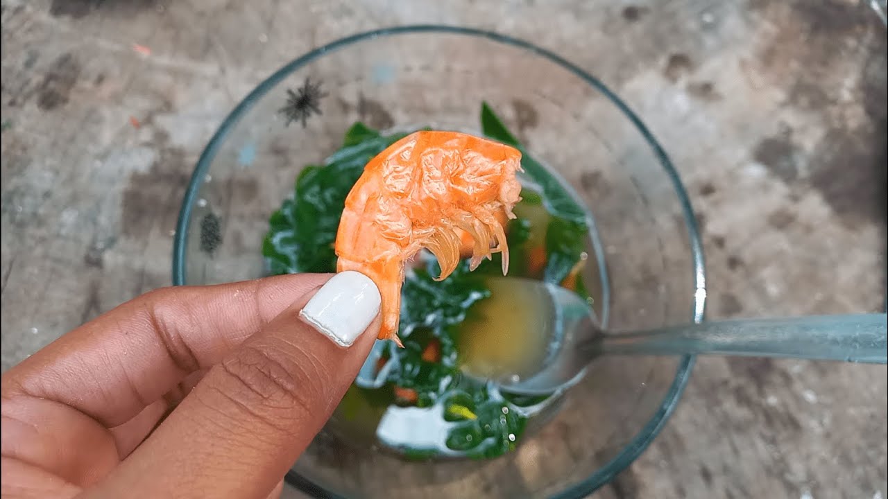 Caldo de chipilín, chabeh, chepíl o chipil con camarón seco, receta ...