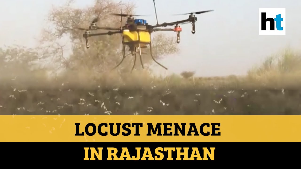 Watch: Drones spray pesticides to ward off swarm of locusts in ...