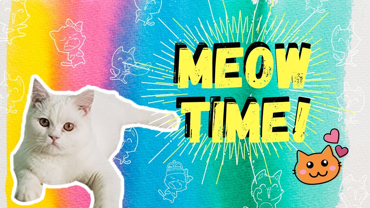 My Kittens (Kuting) / Furbabies / Vlog 020 - YouTube