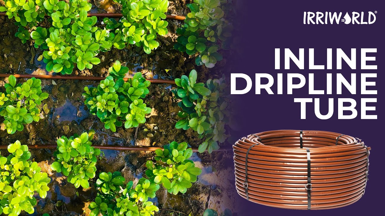 IRRIWORLD® INLINE DRIPLINE TUBE || MY IRIGACIO WORLD - YouTube